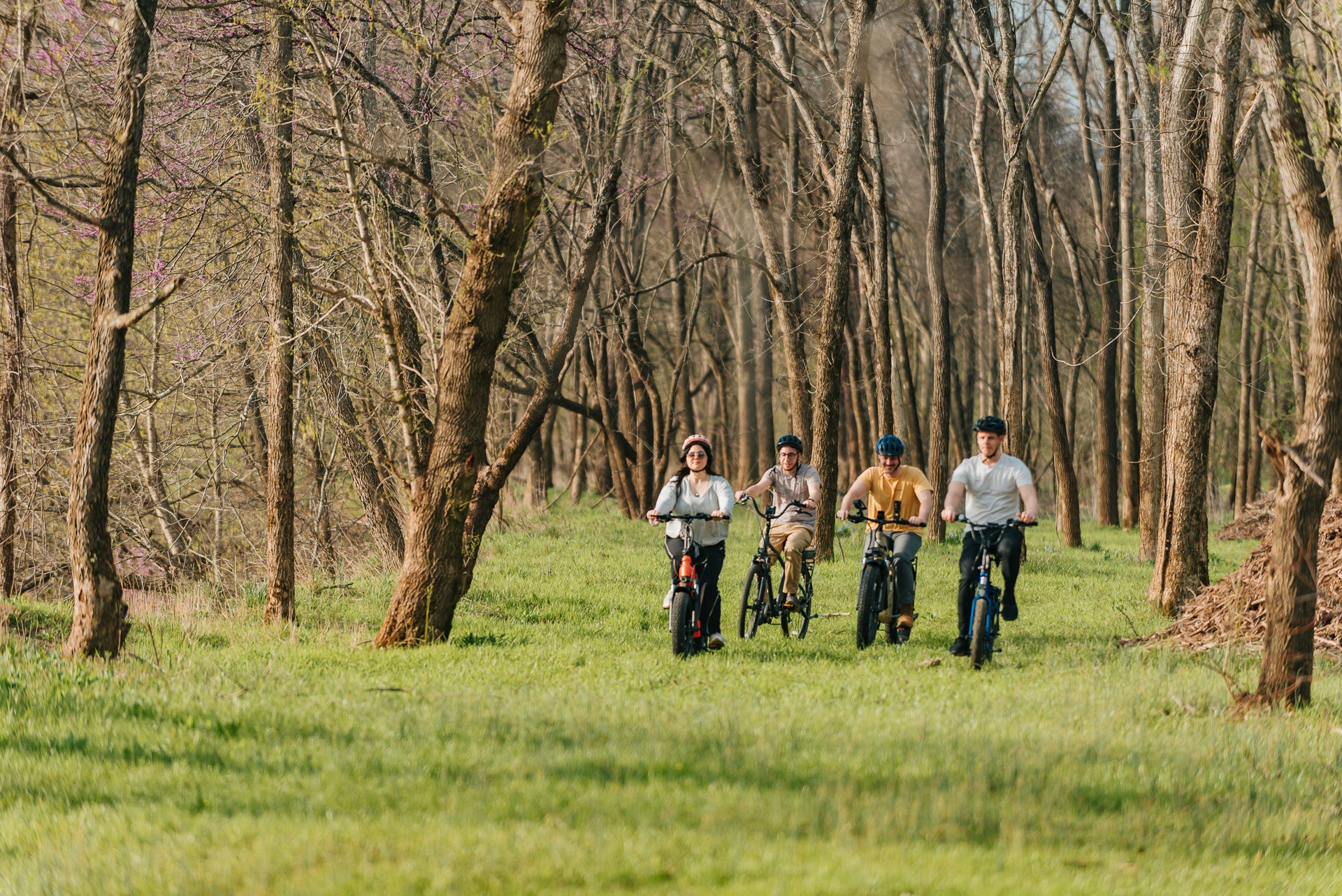 The Transmission System of Electric bike: Derailleurs and Hub gears ...
