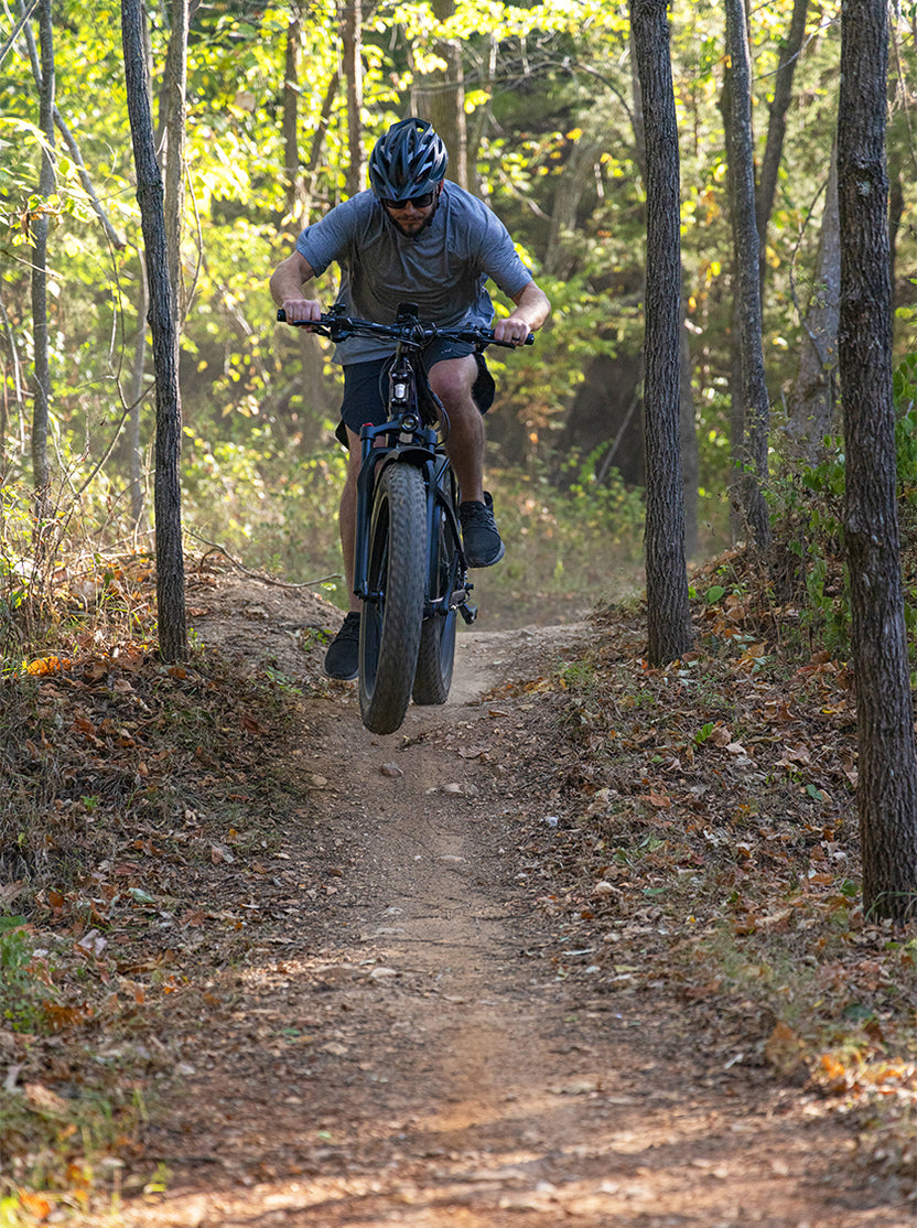 Electric Hunting Bike, Off-Road Electric Bike for Sale, YOUNG ELECTRIC ...